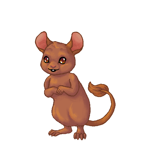 Chirr Lore – Blue Canary